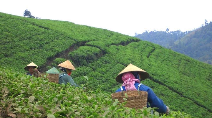 Top 5 excursies Java