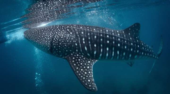 De mooiste plekken van Mozambique